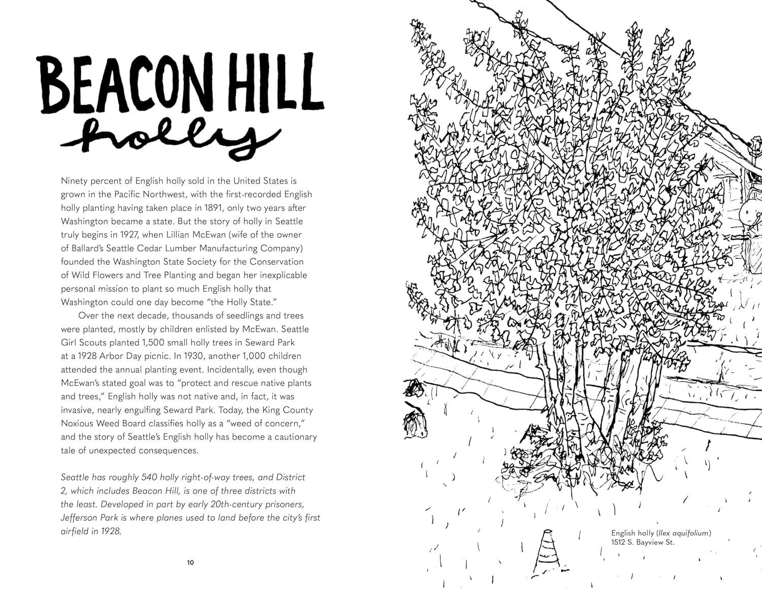 Street Trees of Seattle | MOHAI Mercantile